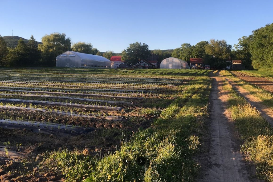Fermes - Alternative Aliment-Terre